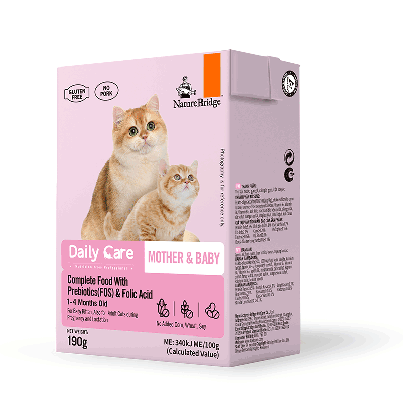 Nature Bridge - Product