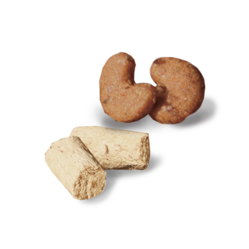 Nature Bridge - Product