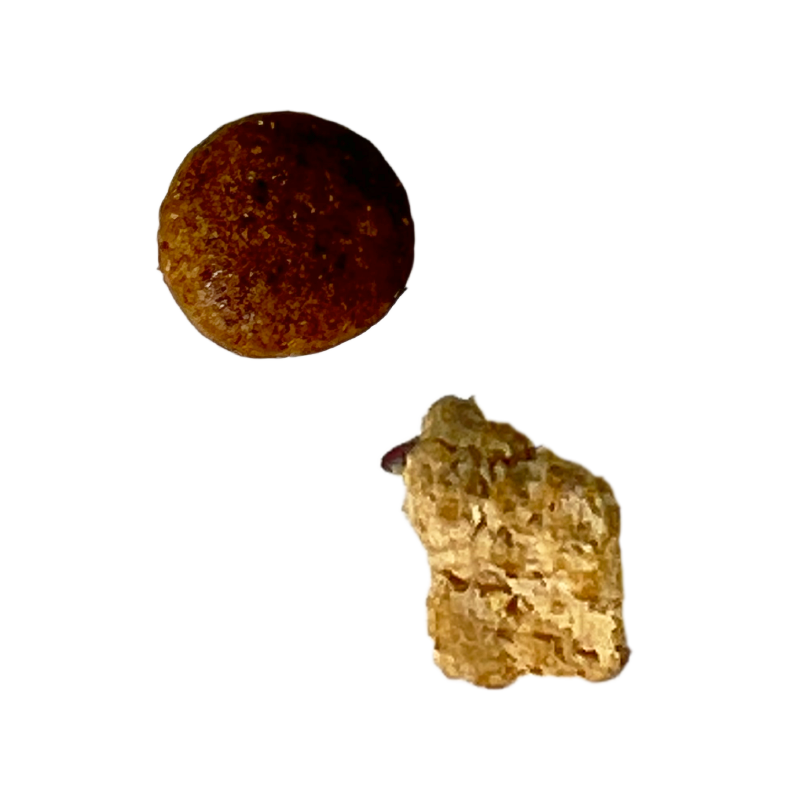 Nature Bridge - Product