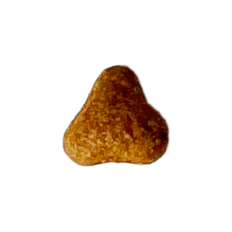 Nature Bridge - Product